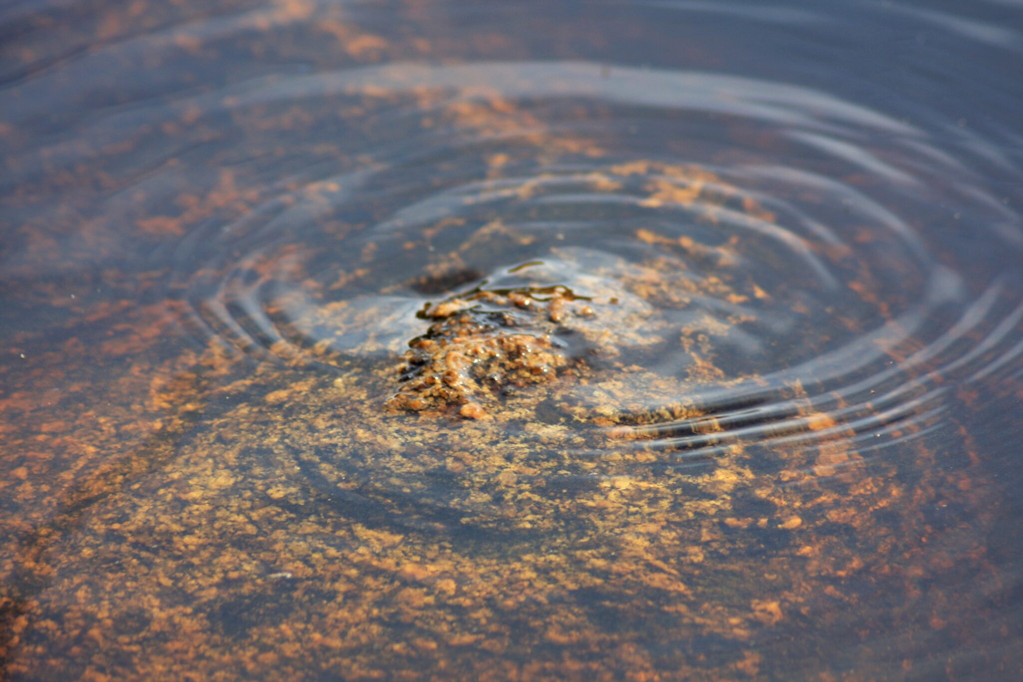 Can You Use Acrylic Paint On Cardboard - Paint Explained